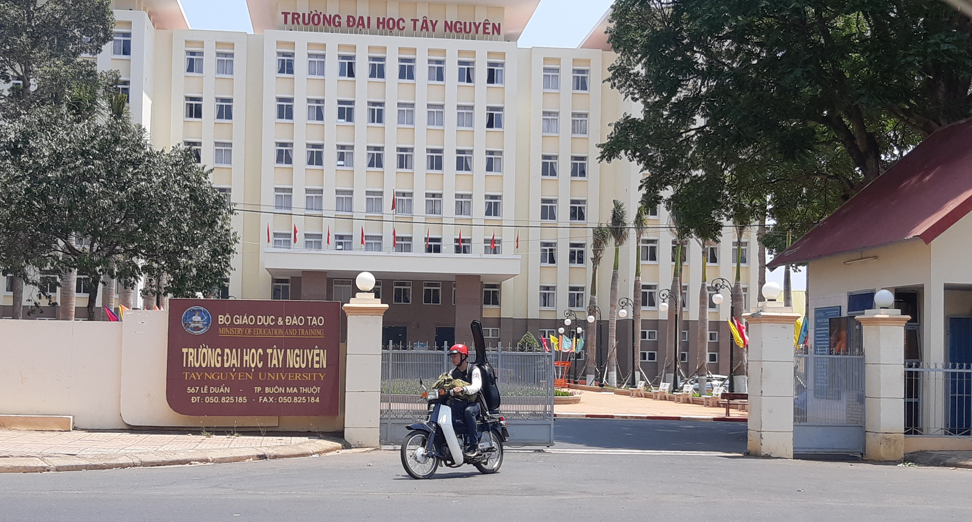 Tay Nguyen University